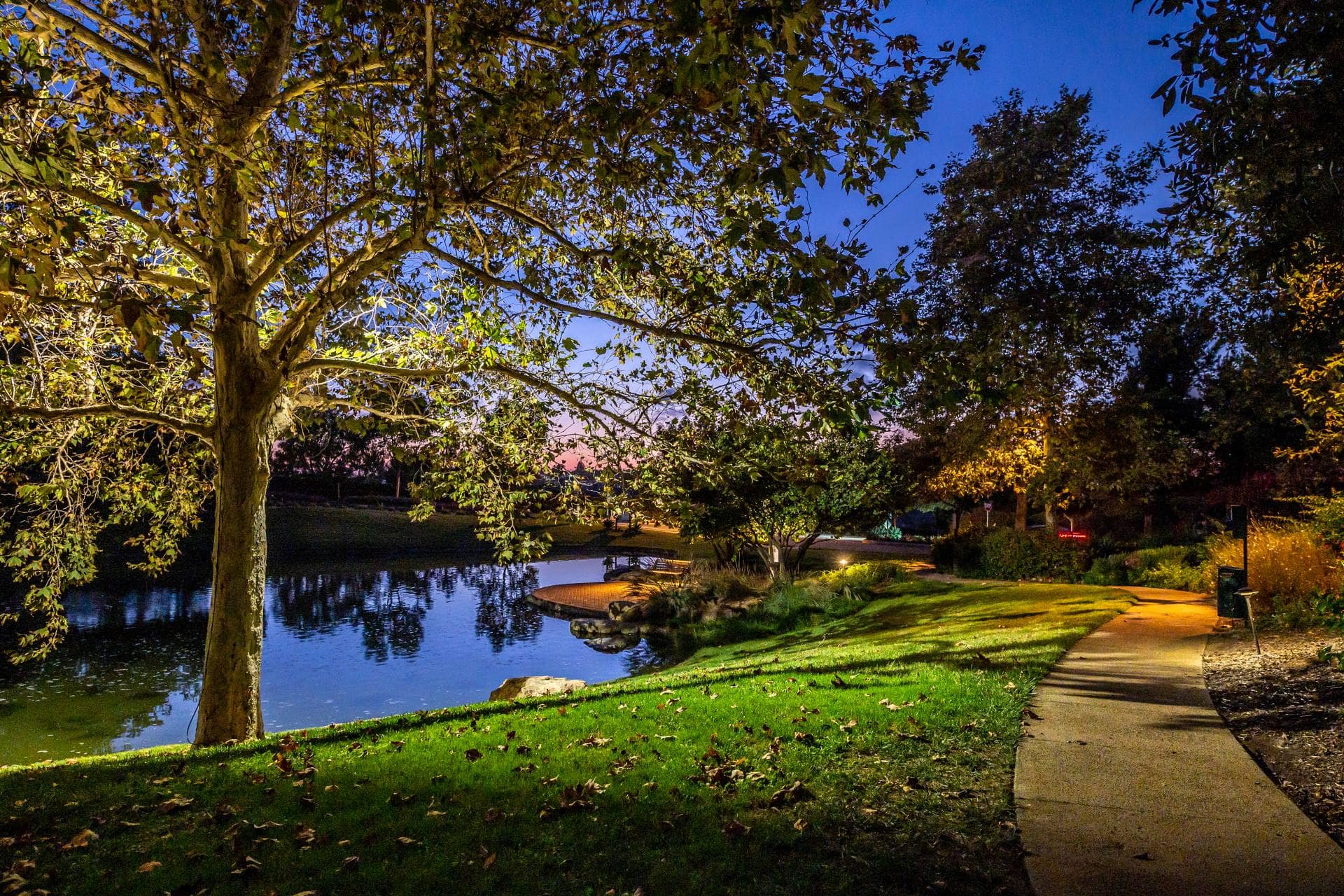 Dramatic Landscape Lighting Ideas You Can Create with Shadows for Your ...