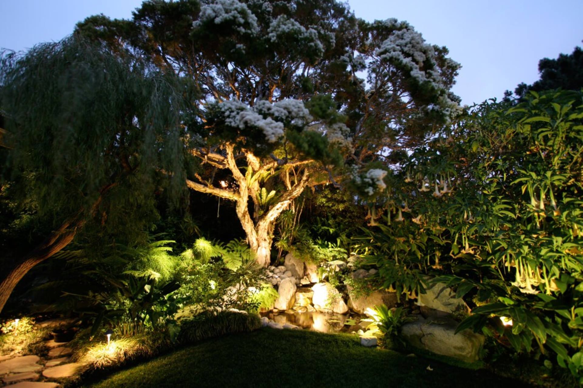 Six Landscape Lighting Techniques You Need to Know About | Lighting ...